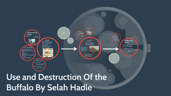Use and Destruction Of the Buffalo by Selah Hadle on Prezi