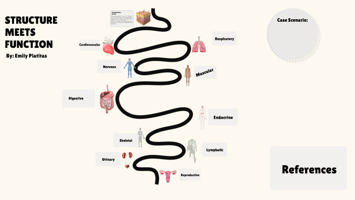 Structure meets function by Emily Platitas on Prezi