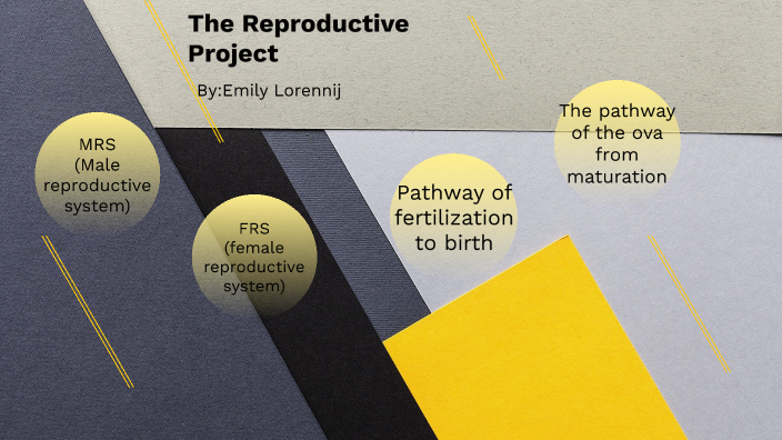 The Reproductive Project by Emily Lorennij on Prezi