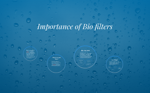 Importance of Biofilters by Rebecca Sanchez on Prezi
