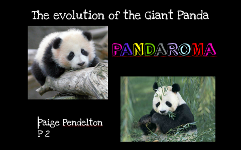 The evolution of the Giant Panda by Paige Pendelton on Prezi
