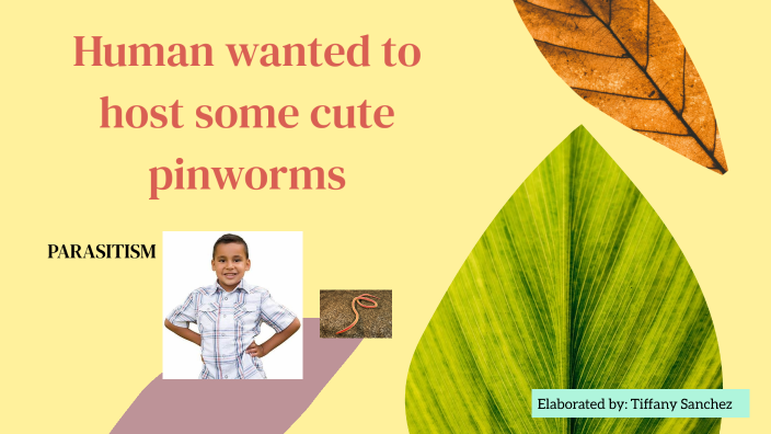 Symbiosis Want Ad by Estefania Benalcazar on Prezi