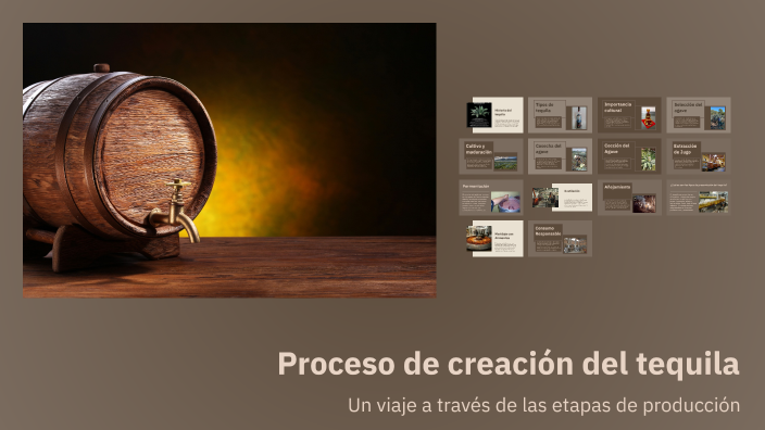 Proceso del tequila by Sebastian on Prezi