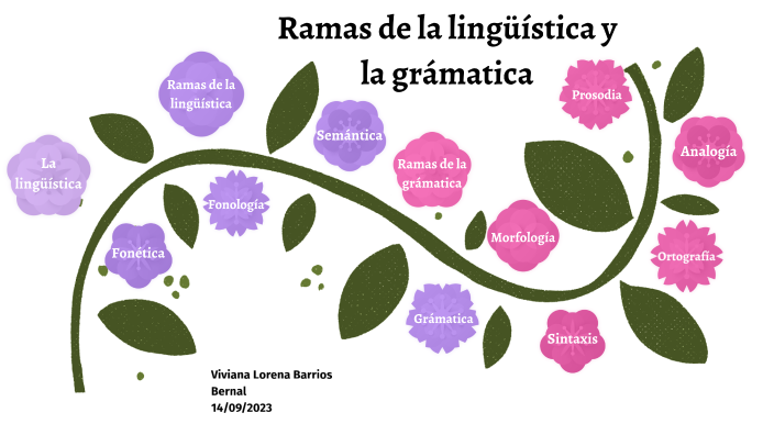 Ramas de la lingüística y la gramática by Viviana Barrios on Prezi