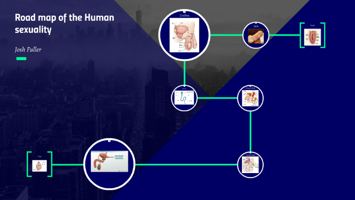 Road map of the Human sexuality by Josh Fuller on Prezi
