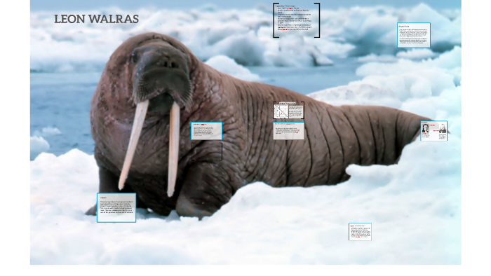 LEON WALRAS by Robert Hartman on Prezi