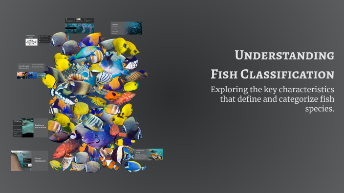 Understanding Fish Classification by Mason Stangl on Prezi