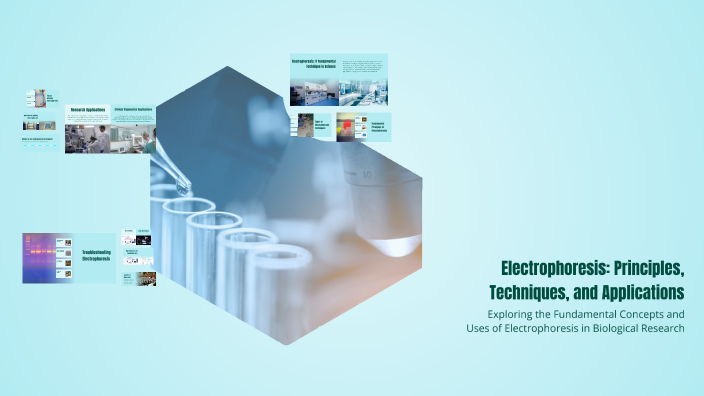 Electrophoresis: Principles, Techniques, and Applications by Peter ...