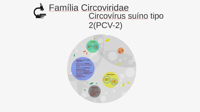 Família Circoviridae by Thayana Uchoa on Prezi