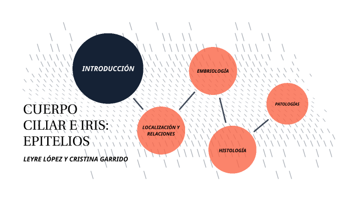 Cuerpo ciliar e iris: EPITELIOS. by Cristina y Leyre López on Prezi