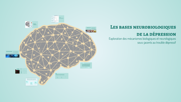 Les bases neurobiologiques de la dépression by abidi sirine on Prezi