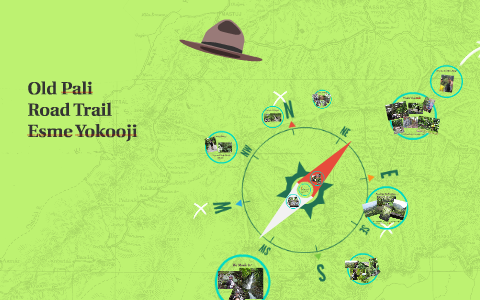 Old Pali Trail by on Prezi