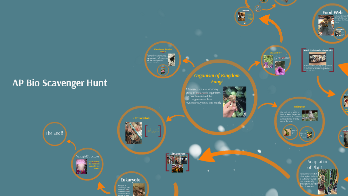 AP Bio Scavenger Hunt by Madison Kitchen on Prezi