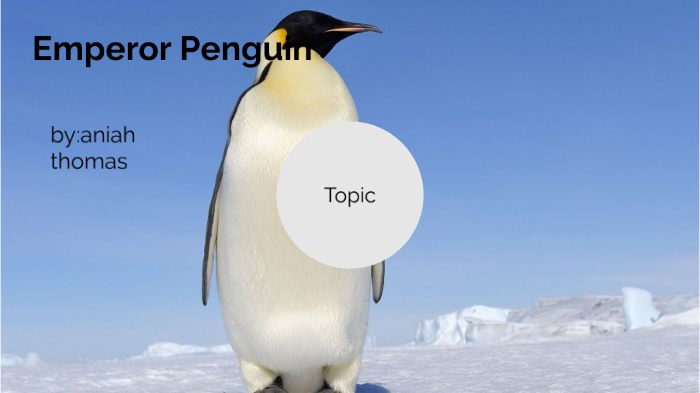 prezi by Aniah Thomas on Prezi