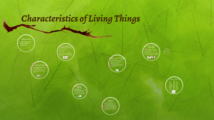 7 Characteristics of Living Things by Evan Kroon on Prezi