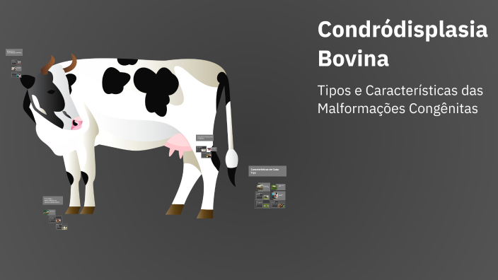 Condródisplasia Bovina by Luiz Filipe Gonçalves on Prezi