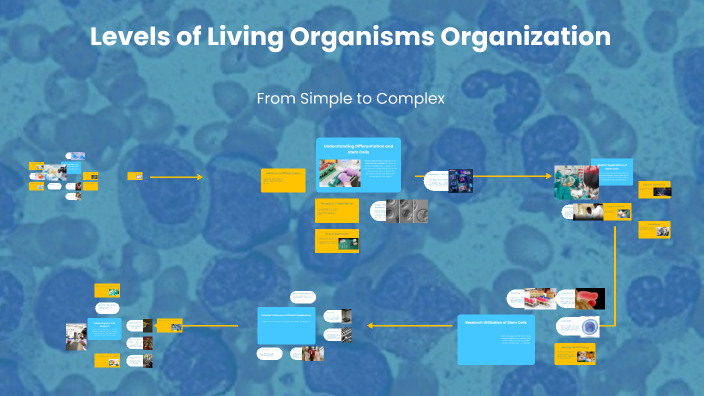 Levels of Organization in Living Things by alexander resendiz on Prezi