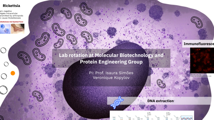 Lab rotation by Veronique Kopylov on Prezi
