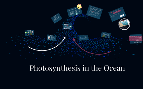 Photosynthesis in the Ocean by Angela Coker on Prezi