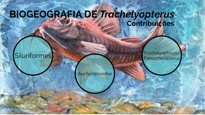Biogeografia de Trachelyopterus by Evandro Lorensetti on Prezi