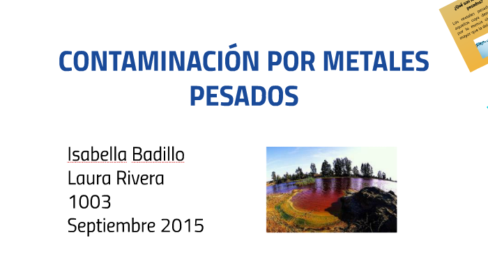 CONTAMINACION POR METALES PESADOS by isabella badillo on Prezi