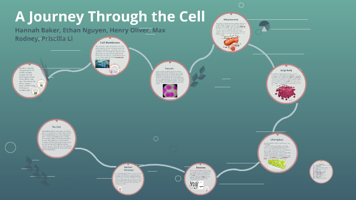 A Journey Through The Cell By Hannah B On Prezi