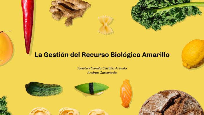 La Gestión del Recurso Biológico Amarillo by Yonatan camilo Castillo ...