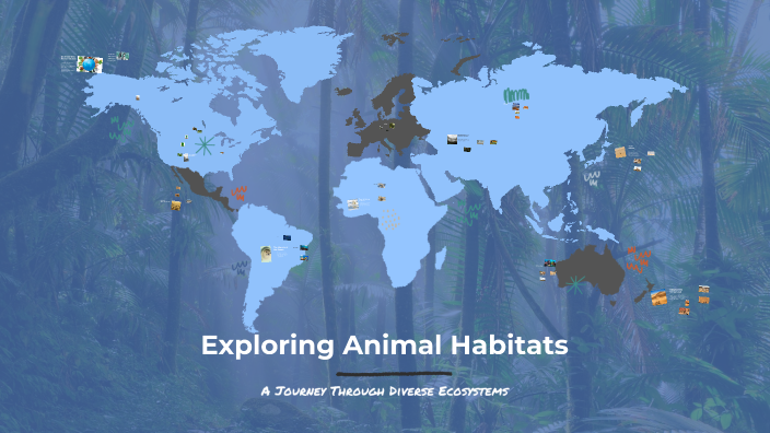 Exploring Animal Habitats by Karina Morales on Prezi
