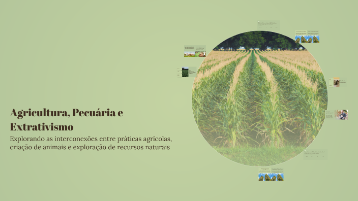 Agricultura, Pecuária e Extrativismo by Angelina Silva Santos Lessa on ...