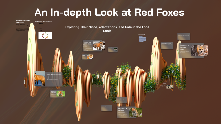 Wildlife Spotlight: Red Fox by Gabby Kelly on Prezi