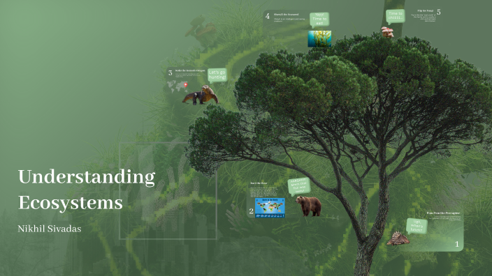 Understanding Ecosystems by Nik Siv on Prezi