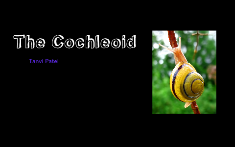 The Cochleoid by Tanvi Patel on Prezi