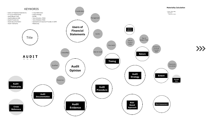 Users of Financial Statements Financial Statements Audit Report (AU ...