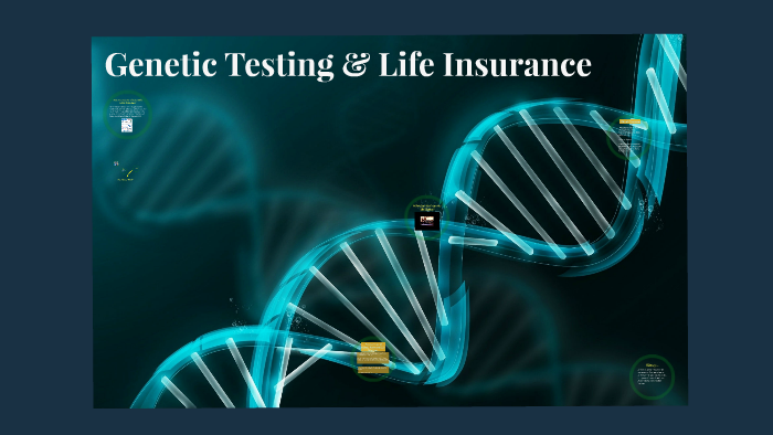 gjgjg by Miranda Pecarskie on Prezi