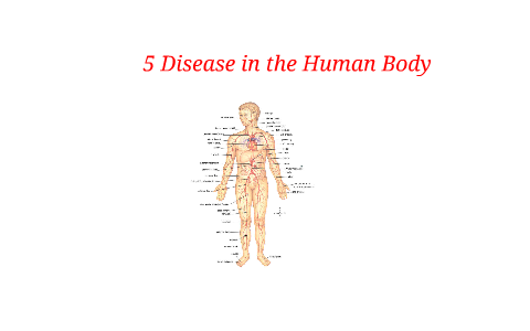 5 Disease in the Human Body by brenda r on Prezi