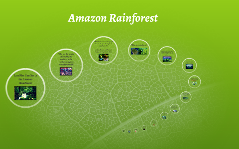 Land Use Conflict in the Amazon Rainforest by klanna swirta on Prezi