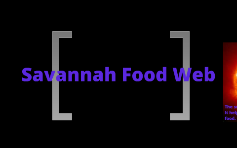 Savannah Food Web by Josh Faller on Prezi