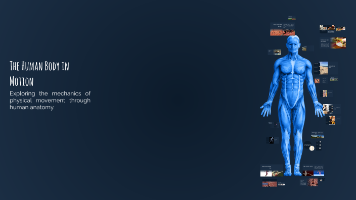 The Human Body in Motion by Miguel Muñoz on Prezi