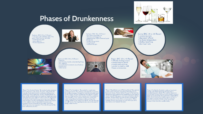Phases of Drunkeness by Nathanael Balachandran on Prezi