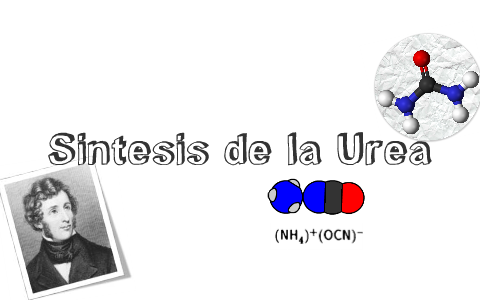 Síntesis de la Urea by Matias Javier on Prezi