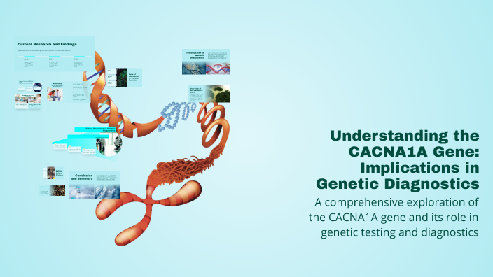 Understanding the CACNA1A Gene: Implications in Genetic Diagnostics by ...