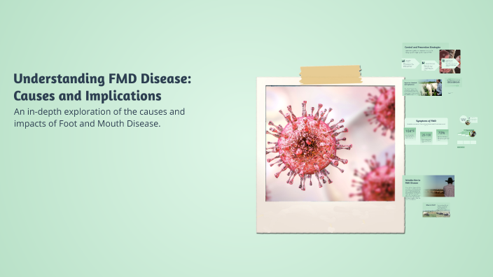Understanding FMD Disease: Causes and Implications by Suzan abd87 ...