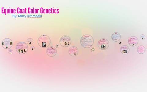 Equine Coat Color Genetics by Macy K on Prezi