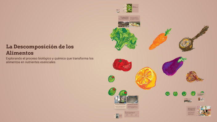 La Descomposición de los Alimentos by Elisabeth Anaya on Prezi