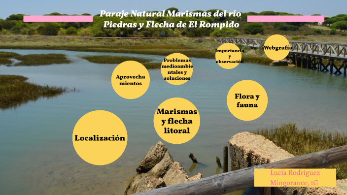 Paraje Natural Marismas del río Piedras y Flecha de El Rompido by María ...