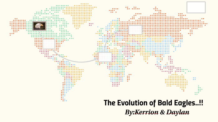 The Evolution of Bald Eagles..!! by daylan primm on Prezi
