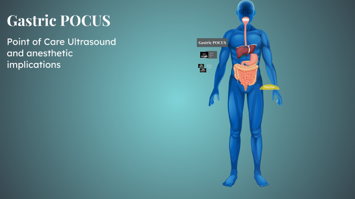 Gastric POCUS by Jake Perkins on Prezi