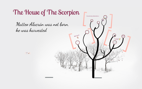 The House of The Scorpion by Consuelo Godoy V on Prezi