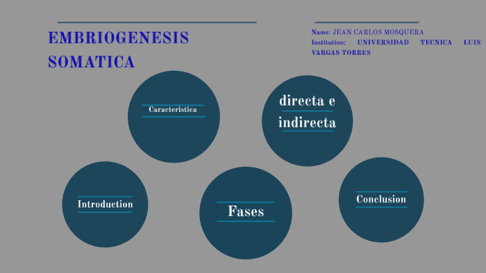 EMBRIOGENESIS SOMATICA by junior palmas on Prezi