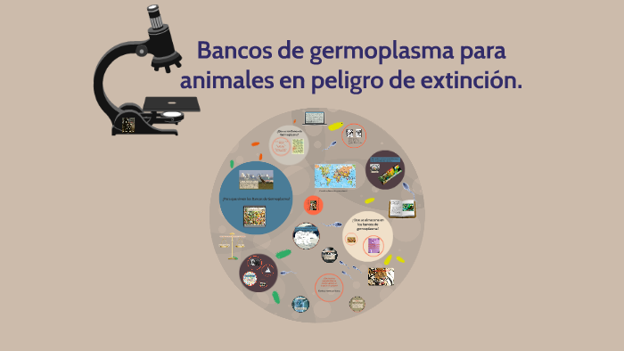 Bancos de germoplasma by Ricardo Cruz Vazquez on Prezi